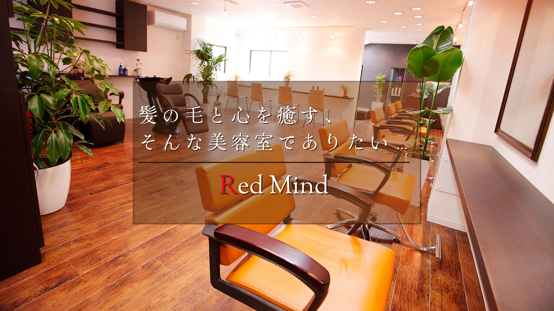 Red Mind | 北品川・青物横丁の美髪創りの技術とハーブを使った癒しメニューが豊富な美容室